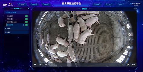 「智慧养殖」猪舍养殖环控系统方案，获取环境参数，数字化畜牧业 聚英电子官网