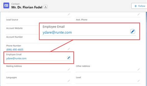 salesforce email field