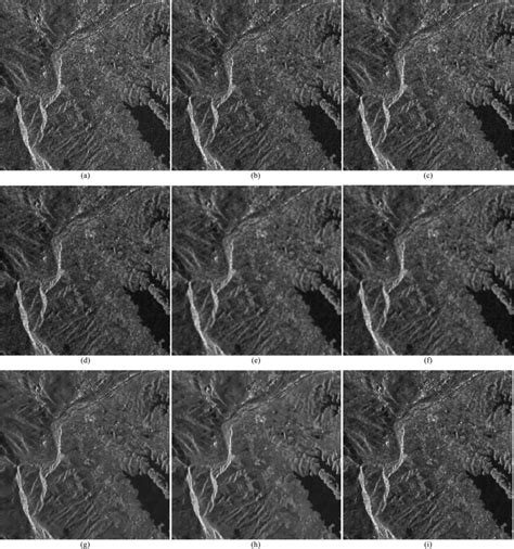 Despeckling Experimental Results Of An Alos L Band Sar Image The