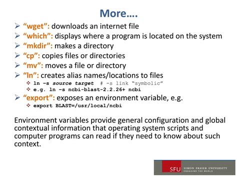 Ppt Ngs Bioinformatics Workshop 13 Tutorial Sequence Alignment And Searching Powerpoint