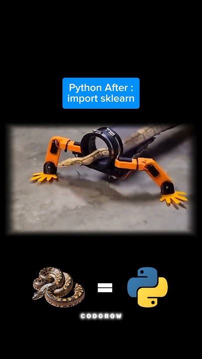 Python After Importing Sklearn Library 😅 Shorts Shortsfeed Youtubeshorts Youtube