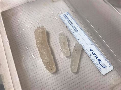 Keely Chalmers Kgw Tv Added A Keely Chalmers Kgw Tv