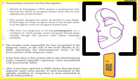 Theories Of Object Recognition Psychology