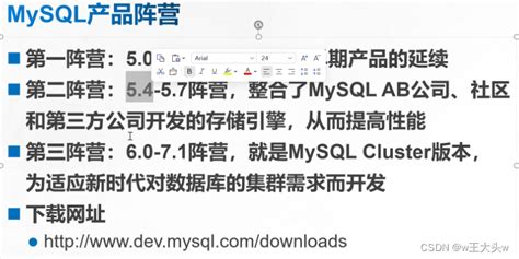 mysql数据库管理 csdn博客
