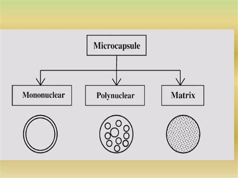 Ndds 4 Microencapsulation Drug Delivery System Pptx Physics Science