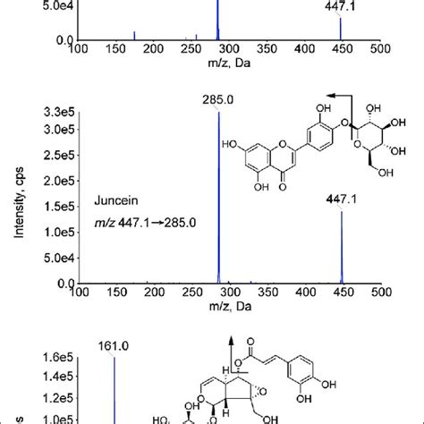 Mass Spectrometry Msms Spectra Of Four Analytes And Their Proposed