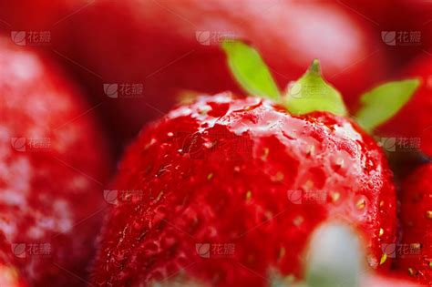 多汁，成熟的天然红色草莓没有转基因。草莓 全框架。特写镜头