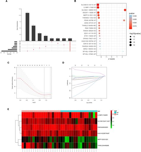 Frontiers Identification Of Mutator Derived Alternative Splicing