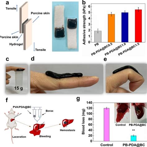A Schematic And Photographs Of Adhesion Strength Test B Adhesion Download Scientific Diagram