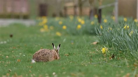 Stepmomstepmomxxxvideo Videos Download The Best Free 4k Stock Video Footage And Stepmom