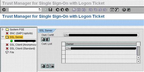 Talk About Sap Como Meter Certificado Ssl En Sap