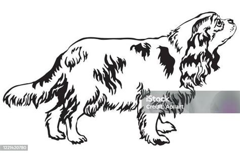 개 카발리에 킹 찰스 스패니얼 벡터 일러스트의 장식 서 초상화 0명에 대한 스톡 벡터 아트 및 기타 이미지 0명 가축