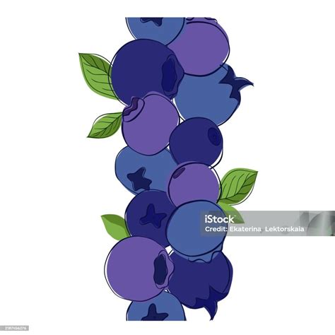 블루 베리 블랙 베리 녹색 잎 완벽 한 수직 테두리 그래픽 윤곽선 스타일로 그린 손 나뭇가지에 숲 베리 레스토랑 카페 메뉴 결혼식 농민 시장을위한 완벽 한 배너 화환 그림