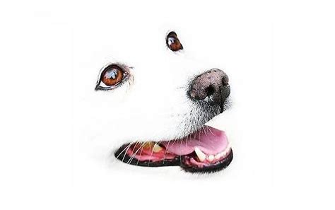 Пропагандистские плакаты времен Второй мировой войны