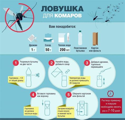 Инструкция, как избавиться от мух во дворе быстро и эффективно