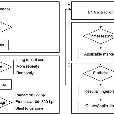 Simple Sequence Repeat Ssr Distribution In The Different Regions Of