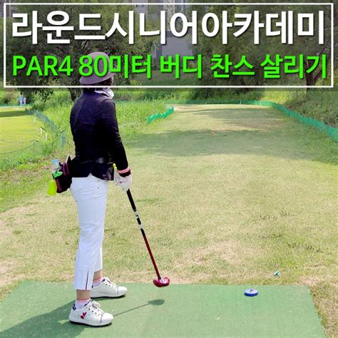 파크골프 잘 치는 법 Par4 80미터 버디 찬스 살리기 네이버 블로그