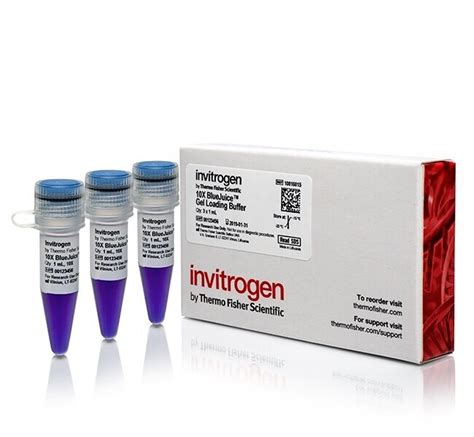 DNA Loading Buffer Thermo Fisher Scientific US