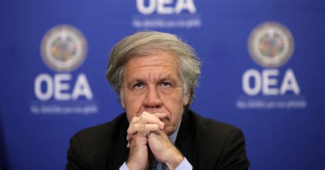 Frente A Las Dictaduras En América Latina La Oea Analizó Mecanismos