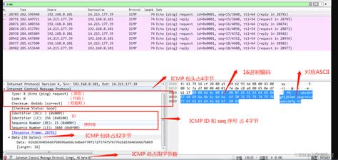 Php 基于icmp协议实现一个ping命令php中的pack和unpack函数 Csdn博客 Php 基于icmp协议实现一个ping命令php中的pack和unpack函数 Csdn博客