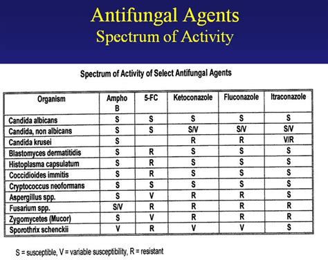 Antifungal Metronidazole