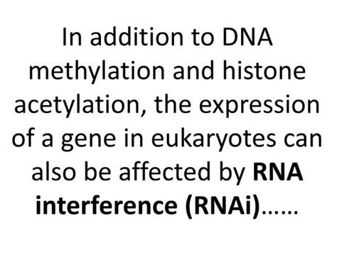 Epigenetic Modification Edexcel A Level Biology B Teaching Resources