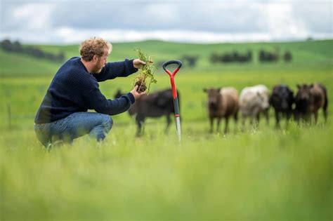 Regenerative Farming Is On The Rise — Heres Why It Matters