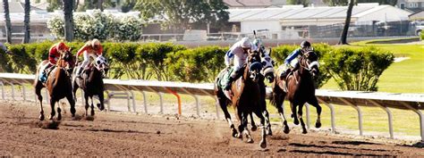 Mlfoundationsdatacomppools · Datasets At Hugging Face