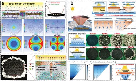 A Schematic Illustration And Simulated Results Exhibiting The Salt Download Scientific Diagram