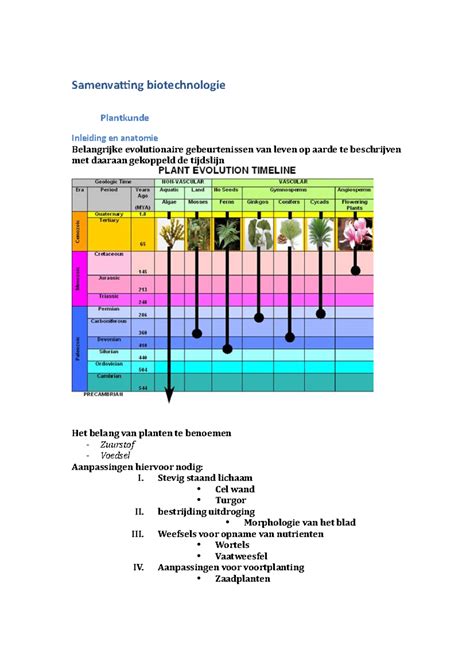 Samenvatting Biotechnologie Stevig Staand Lichaam Cel Wand Turgor Ii