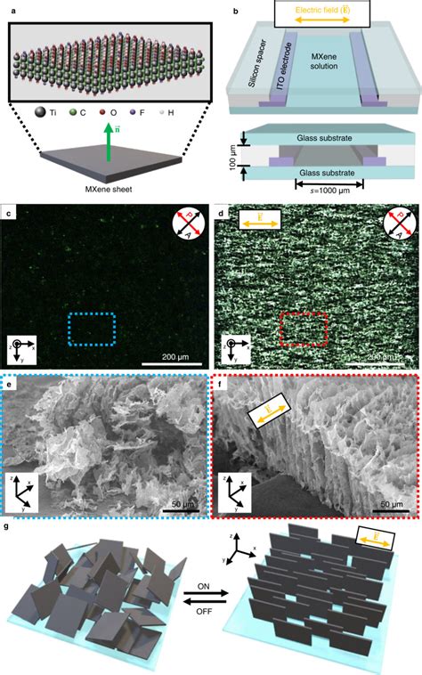 Field Induced Orientational Switching Produces Vertically Aligned