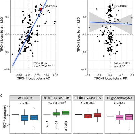 Study Flowchart Schematic Illustration Of The Analytical Workflow The Download Scientific