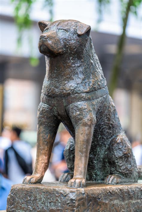 Hachiko Statue