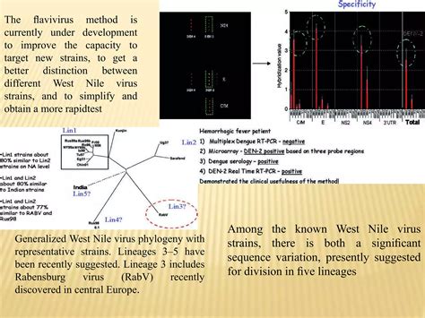 Dna Microarray Technique For Detection And Identification Of Virus Ppt