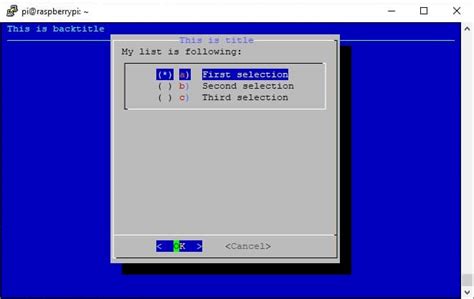 Beautiful Terminal User Interface With Dialog And Raspberry Pi