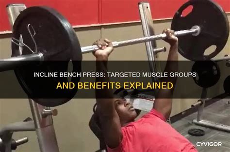 Incline Bench Press Targeted Muscle Groups And Benefits Explained