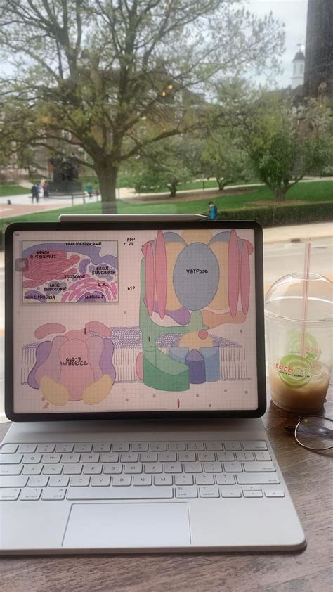 biochemistry and biological chemistry educational animations for
