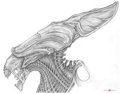 The Xenomorph Alien Queen By Chrisozfulton On Deviantart