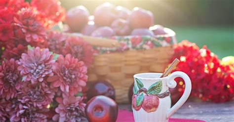 【デート】ピクニックデートの新定番？！デート専用の持ち物特集 Mini Bag