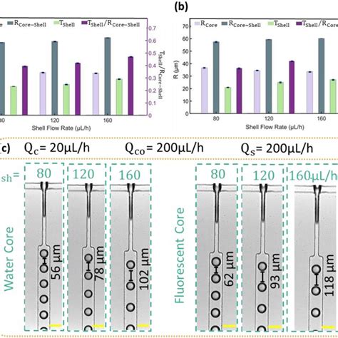 Core Shell Droplet With A A Water Core And B A Fluorescent Core Download Scientific Diagram
