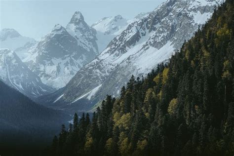 Пин от пользователя Claire G на доске Home Decor Лес Природа Белые кролики