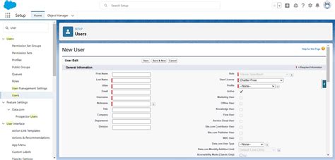 User In Salesforce A User Is Anyone Who Logs In To… By Vaishnavi R