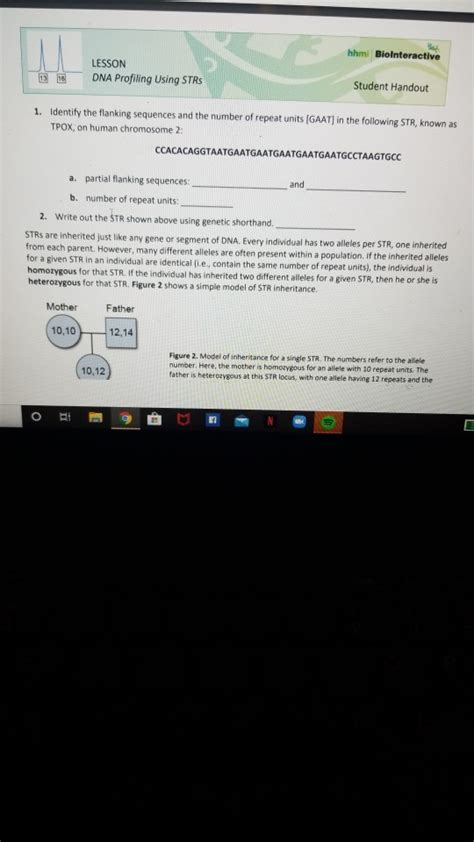 Solved Hhmi Biointeractive LESSON DNA Profiling Using STRS Chegg Com