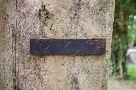 Premium Photo Botanical Identification Label On Tree