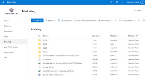 Sharepoint Online How To Inject Custom Css In Modern Sites