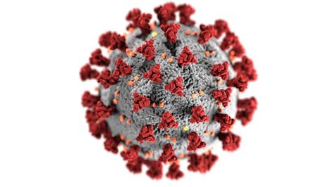 Virus Caracteres Generales Virus Microciencia