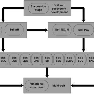 General Conceptual Model Representing How Long Term Soil And Ecosystem Download Scientific
