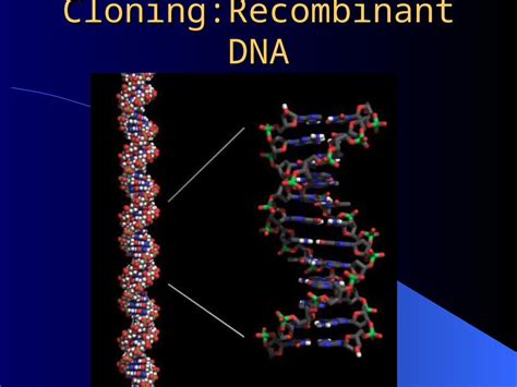 Ppt Cloningrecombinant Dna Multistep Process Produce Fragments Of