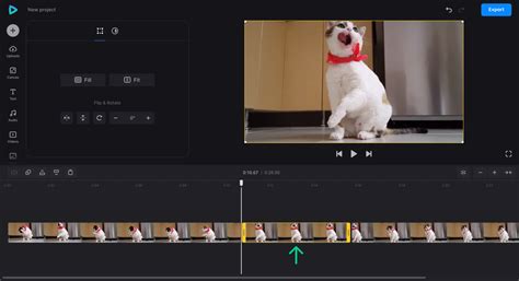 How To Freeze Frame Video Online Clideo