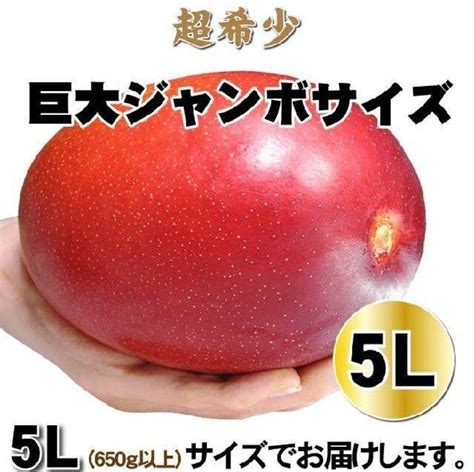厳選 5l特大玉【宮崎県産 完熟マンゴー】1玉 最大級の 超大玉5l玉 By メルカリ